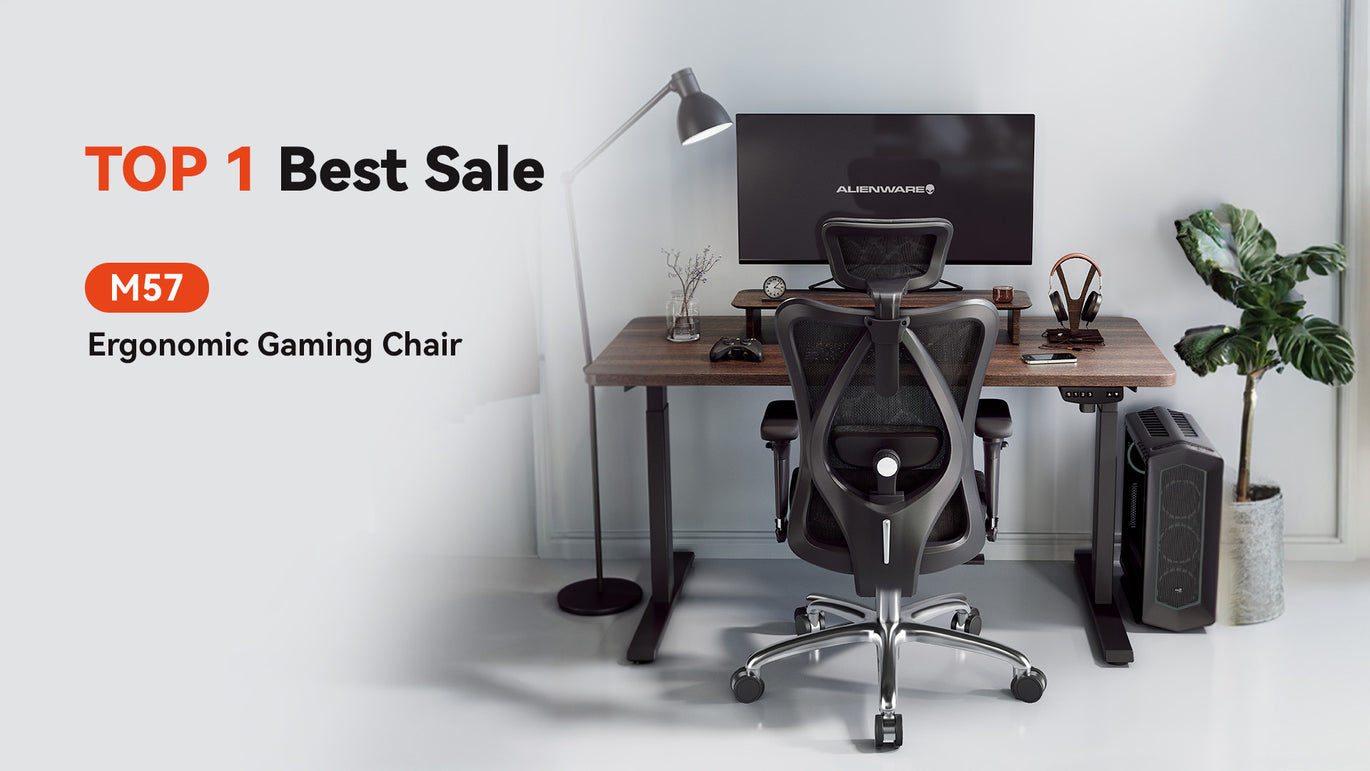 SIHOO Ergonomic Chairs for Office & Home, Office Furniture Malaysia ...